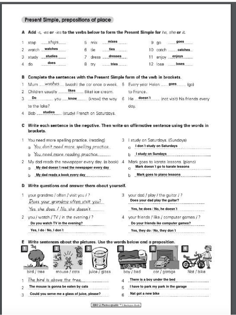 Present Simple, Prepositions of Place | PDF