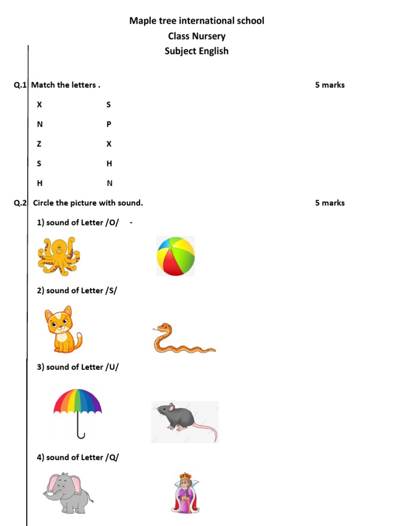 Nur English Final Assessment | PDF