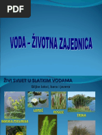 RIJEKE BIH Prezentacija | PDF
