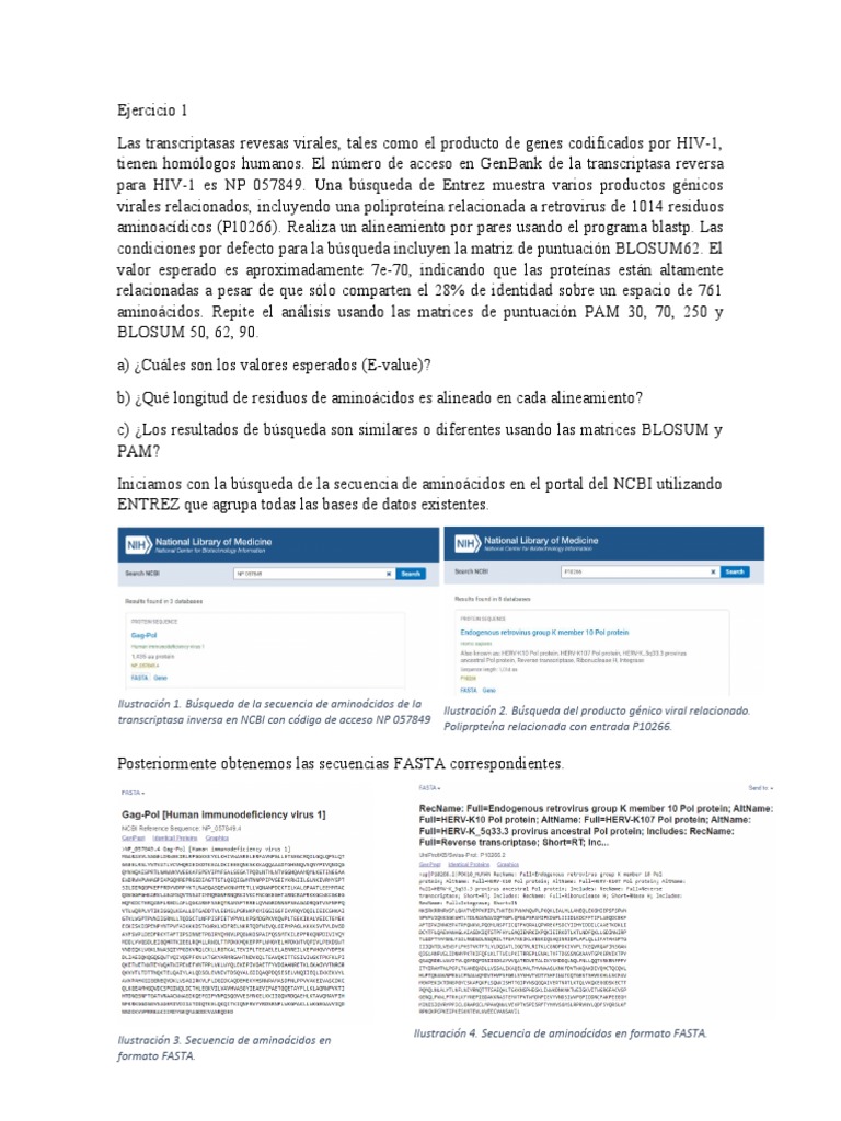 Práctica 3 Bioinformática | PDF | Alineación de secuencia | Centro Nacional de Información ...