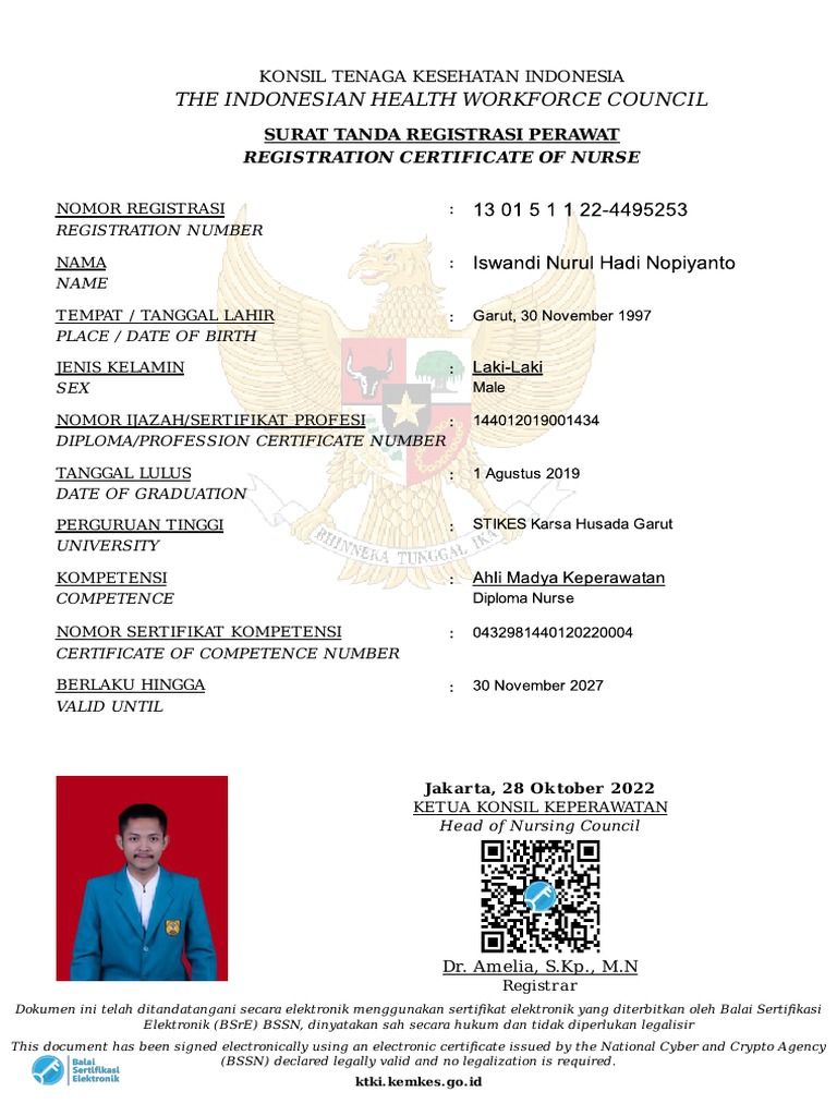REGISTRATION CERTIFICATE OF A NURSE | PDF