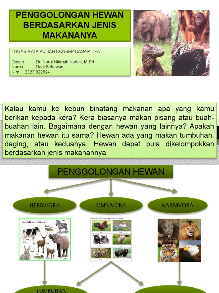 Dedi Setiawan Penggolongan Hewan | PDF