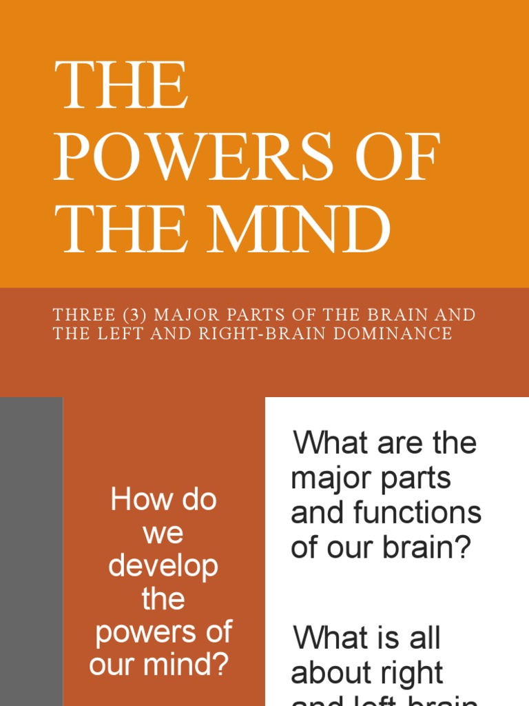 Left and Right Brain Dominance | PDF | Brain | Cerebrum