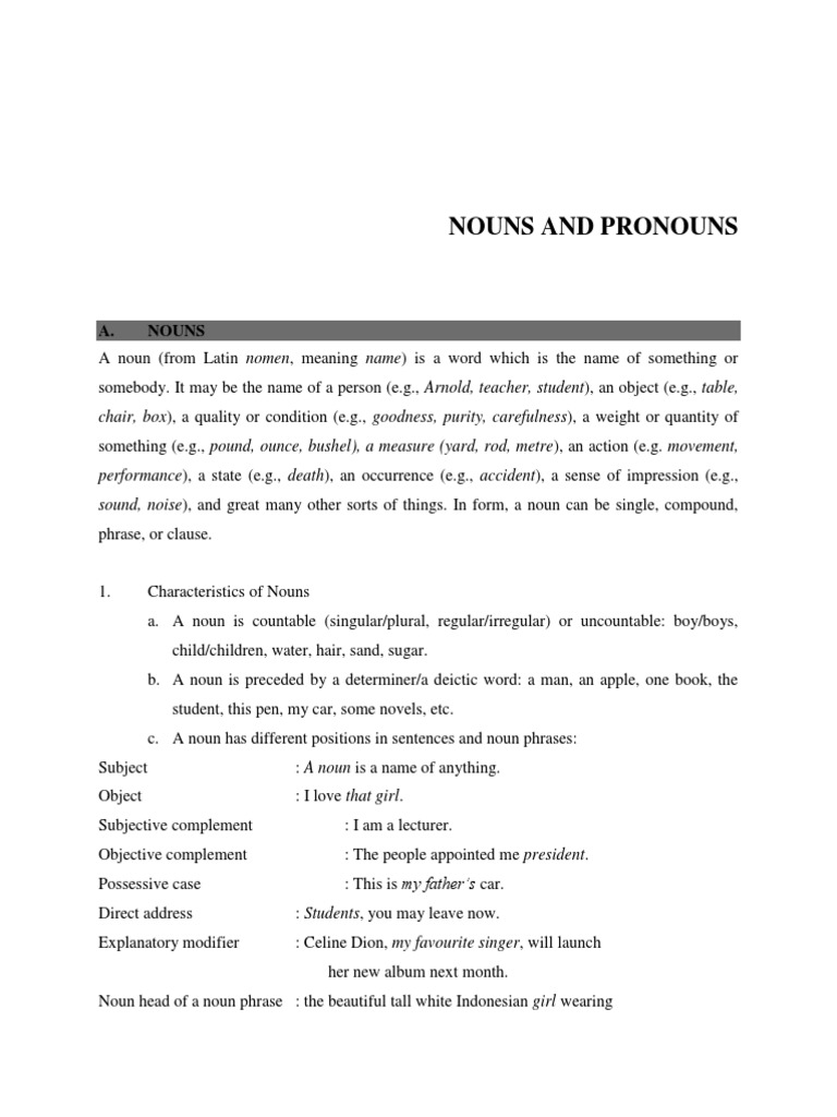 3 - Nouns and Pronouns | PDF | Pronoun | Grammatical Number