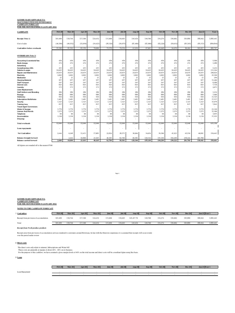 MEI Cashflow | PDF | Economies | Financial Services