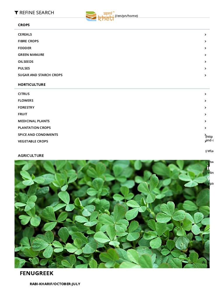 Fenugreek Farming - Fenugreek General Information | PDF | Sowing | Legume