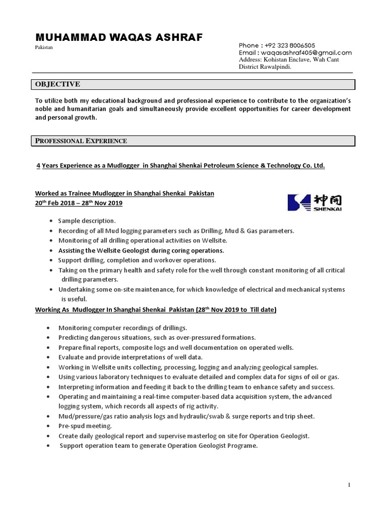 Waqas Ashraf CV | PDF | Computing