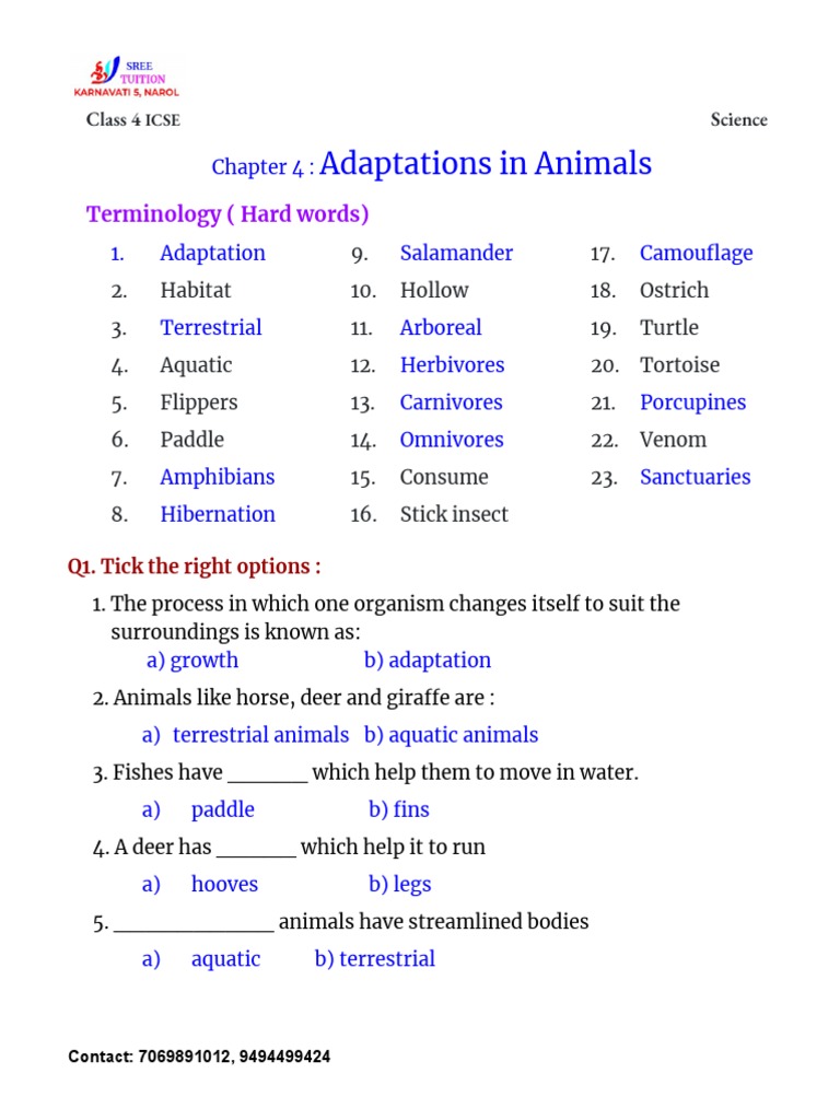 Animal Adaptations 2023 | PDF | Amphibian | Frog