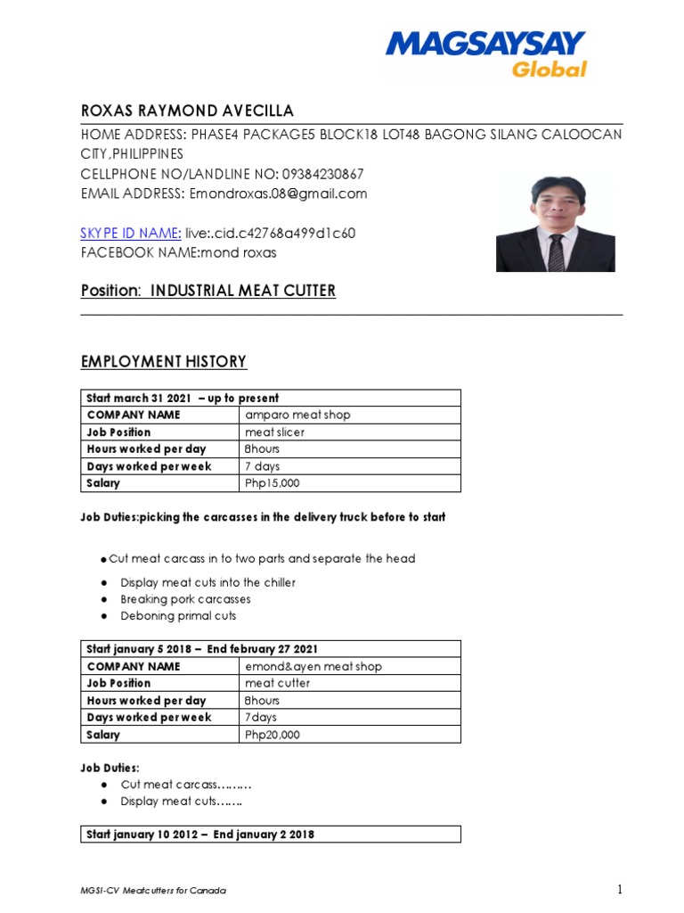 MGSI CV Sample Format | PDF | Animal Products | Meat