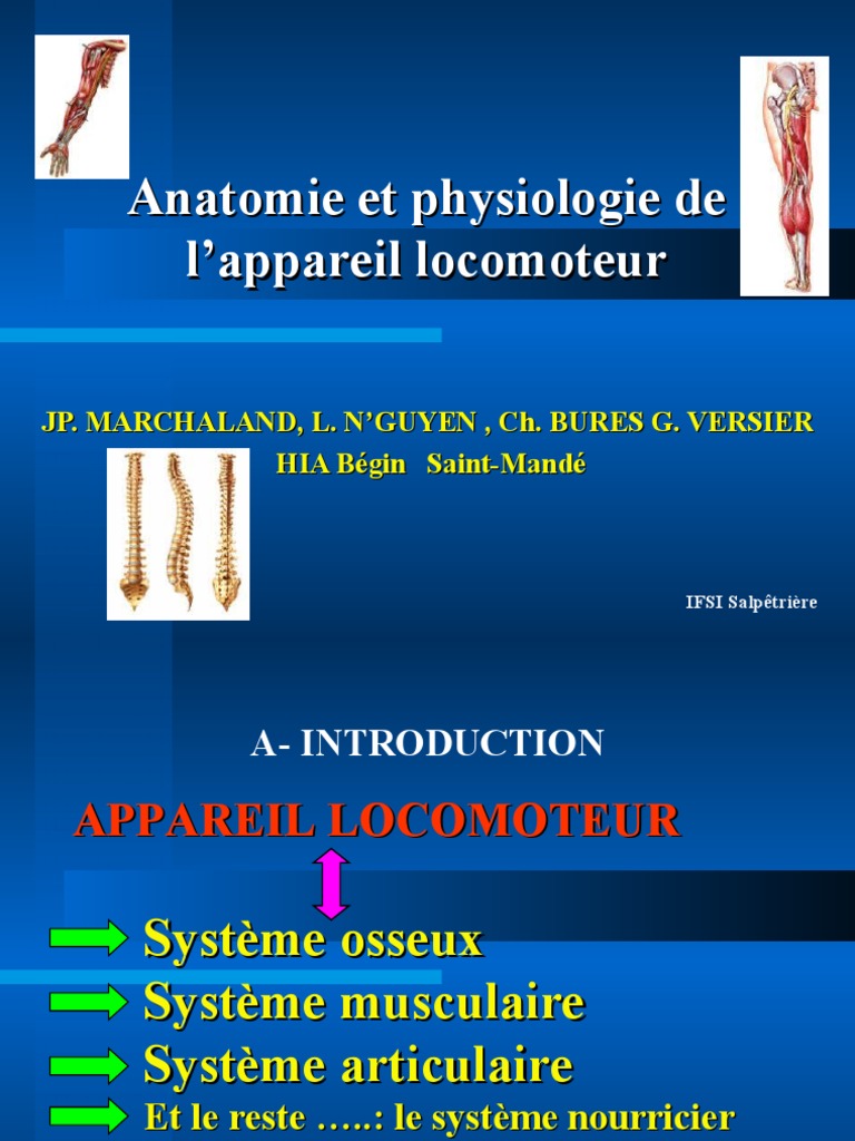 Anatomie & Physiologie Appareil Locomoteur | PDF | Vertèbre | Colonne ...