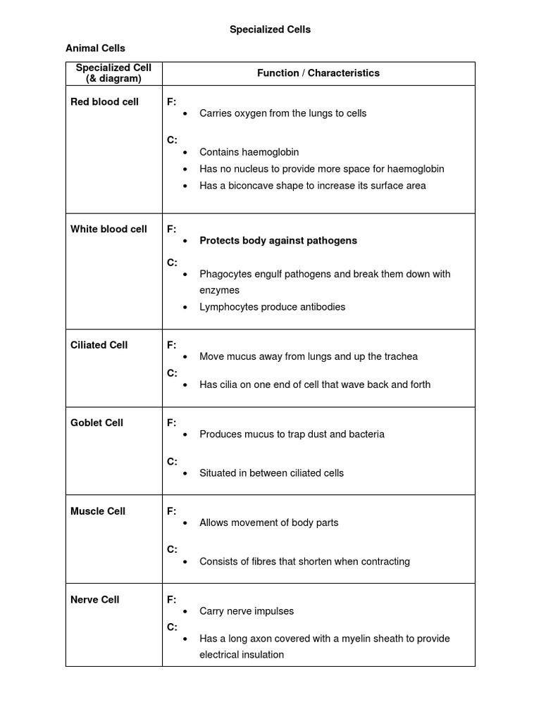 Specialized Cells Functions and Diagrams | PDF | Cell (Biology) | Leaf