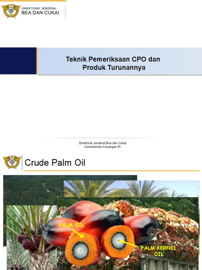 Teknik Pemeriksaan CPO Dan Produk Turunannya - PJJ PBE 2022 | PDF