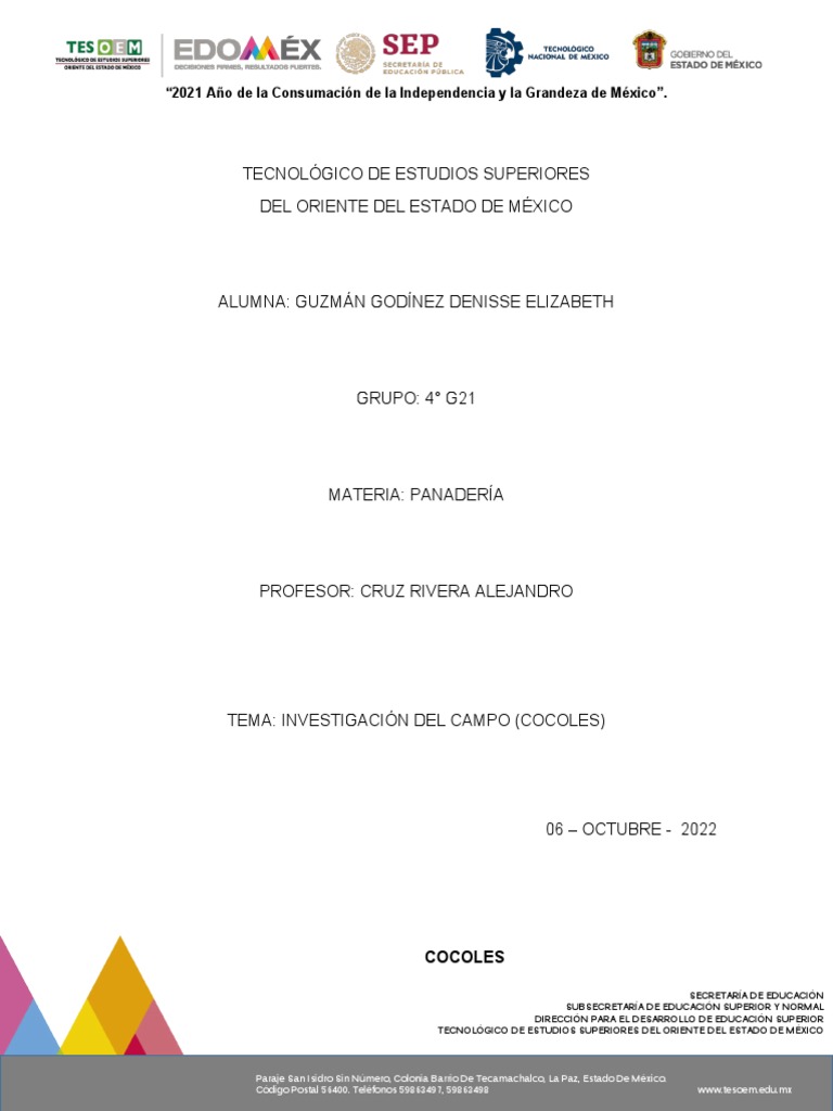 Logotipo Tesoem para Trabajos, Actividades Etc. | PDF | Panes | México