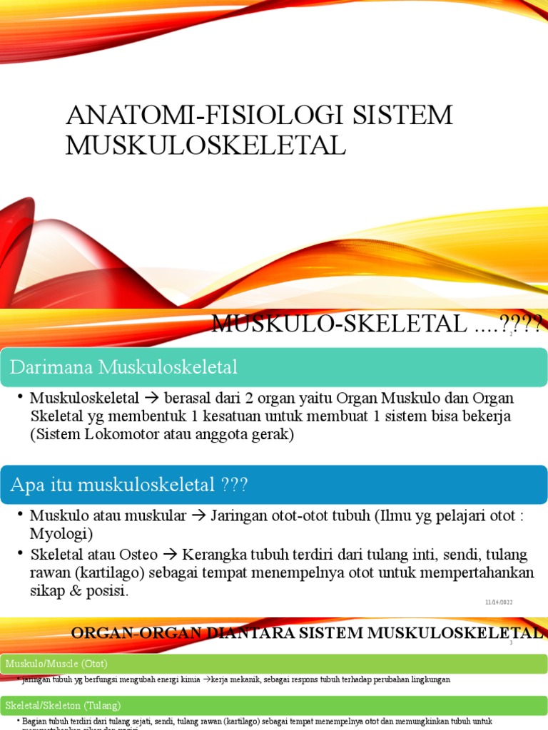 Anatomi-Fisiologi Sistem Muskuloskeletal | PDF