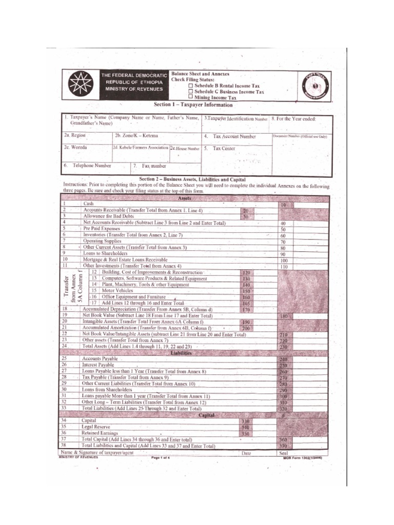 Balance Sheet and Annexes Forms | PDF