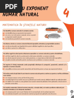 Pătrate Perfecte - Cuburi Perfecte - Cls 5 Sem1 | PDF