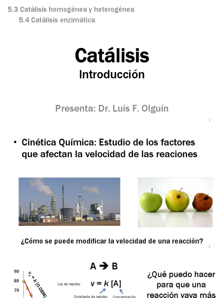 Catalisis | PDF | Catálisis | Reacciones químicas