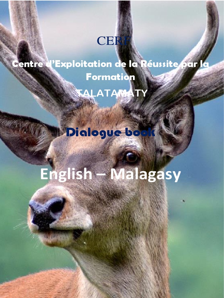English-Malagasy Dialogue Book | PDF