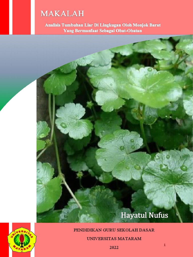 Hayatul Nufus - E1e020070 | PDF