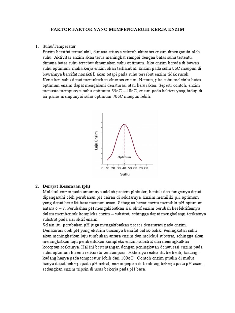 Faktor Faktor Yang Mempengaruhi Kerja Enzim | PDF