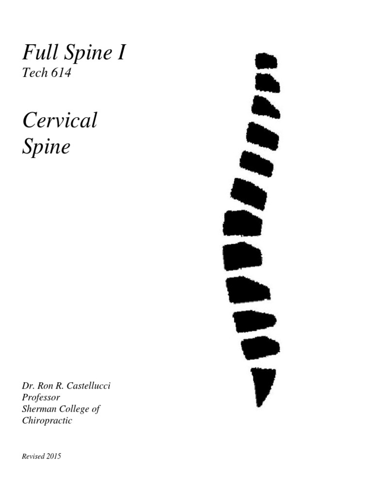 Full Spine Chiropractic Techniques 614 | PDF | Anatomical Terms Of ...