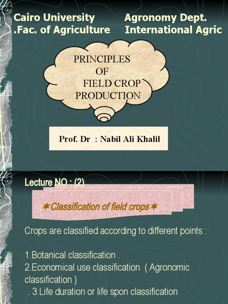 Lecture No. 2 Classification of Field Crops | PDF | Legume | Cereals Lecture No. 2 Classification of Field Crops | PDF | Legume | Cereals