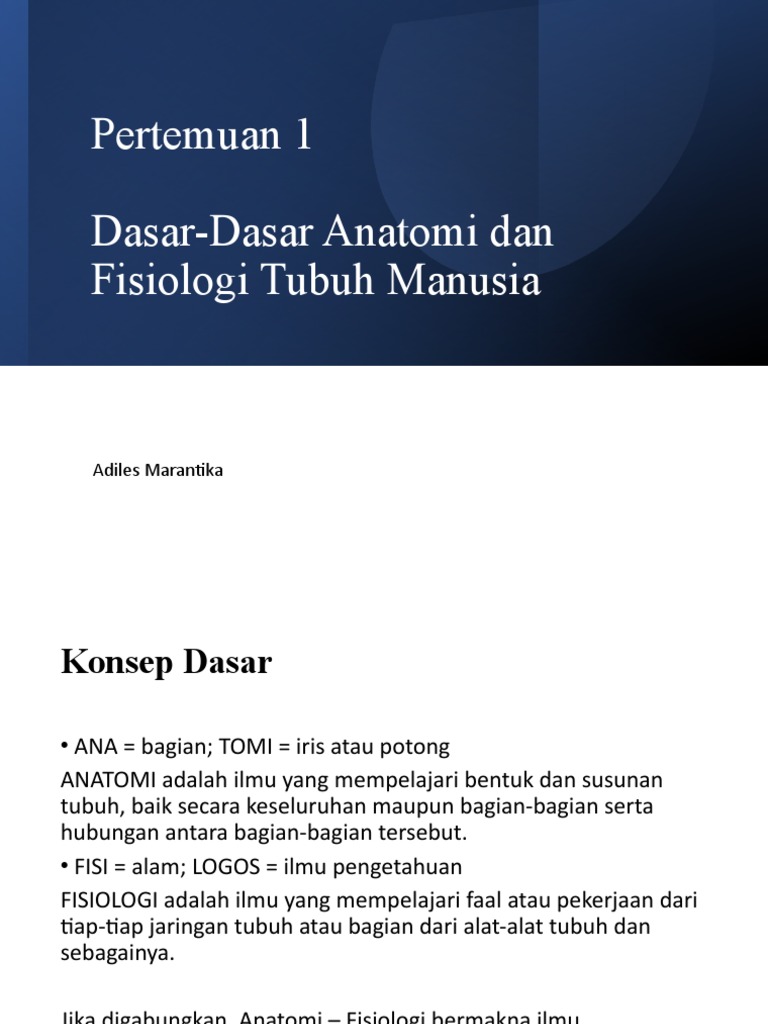 Anatomi 1 Pdf