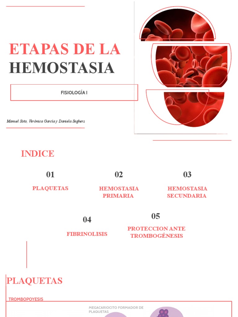 Etapas de La Hemostasia | PDF | Plaqueta | Hemostasia