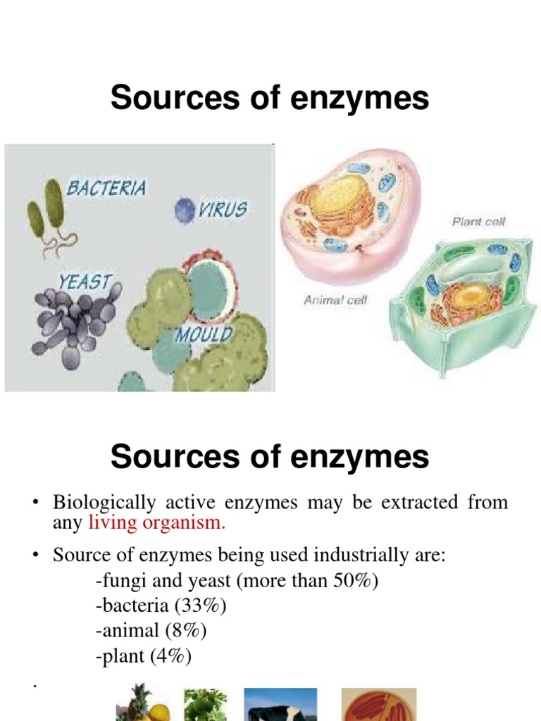 Sources and Production of Enzymes | PDF | Protein Purification | Gel ...