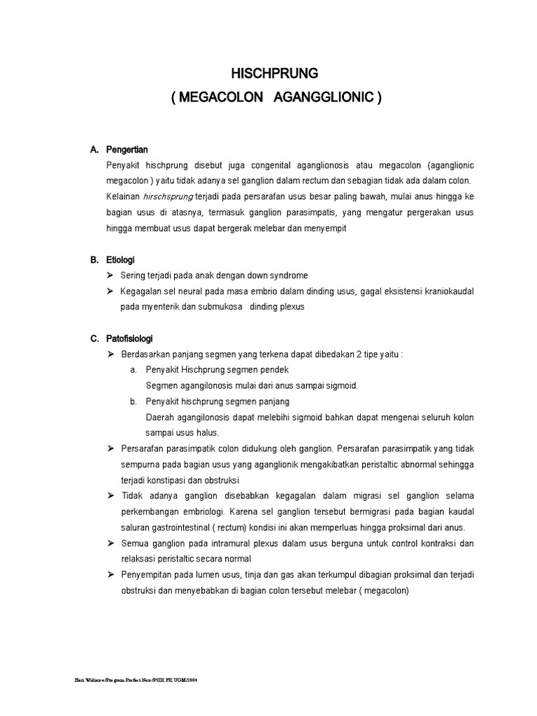 LP Hisprung 2 | PDF | Pengembangan Diri | Kesehatan Holistik