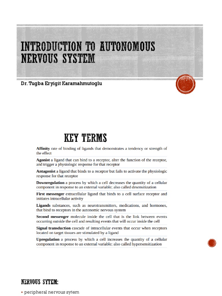 Introduction To Autonomous Pdf Acetylcholine Nervous System 