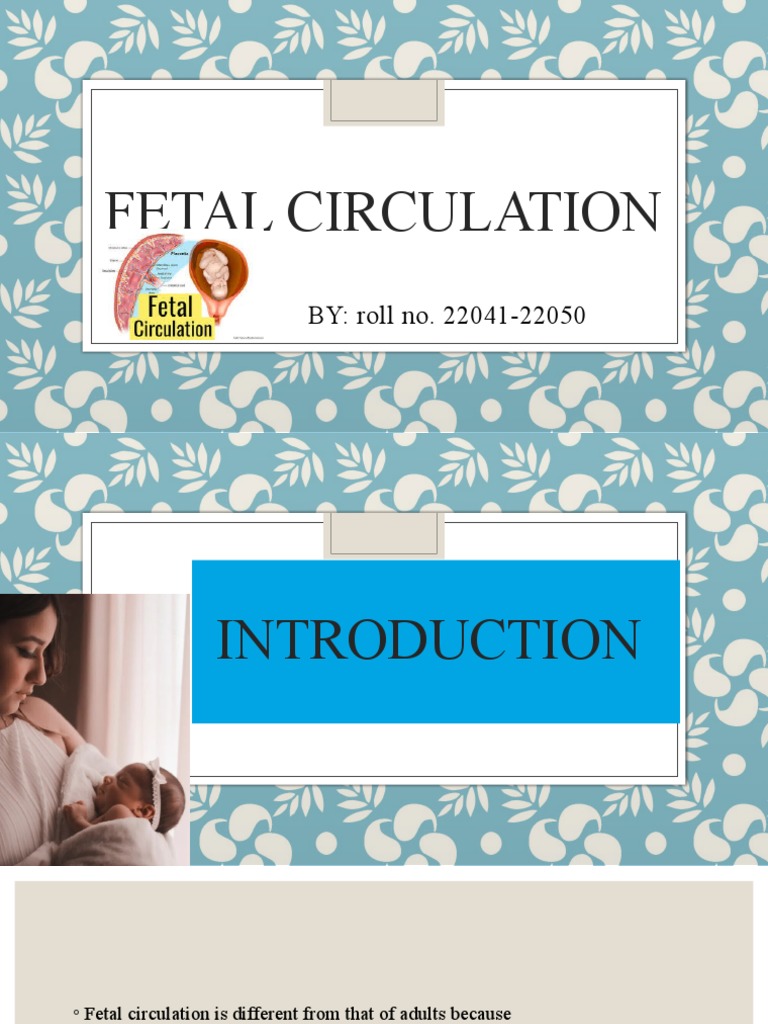 Fetal Circulation 4 | PDF | Fetus | Atrium (Heart)