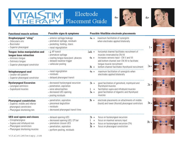 VitalStim Electrode Placement Guide | PDF | Morphology (Biology) | Soft ...