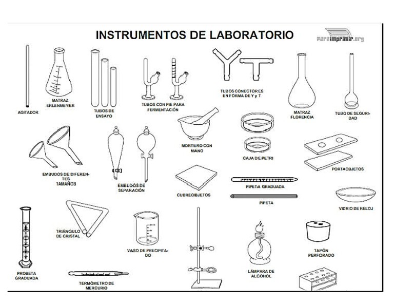 Instrumentos de Laboratorio | PDF