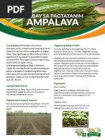 Pagbababuyan | PDF