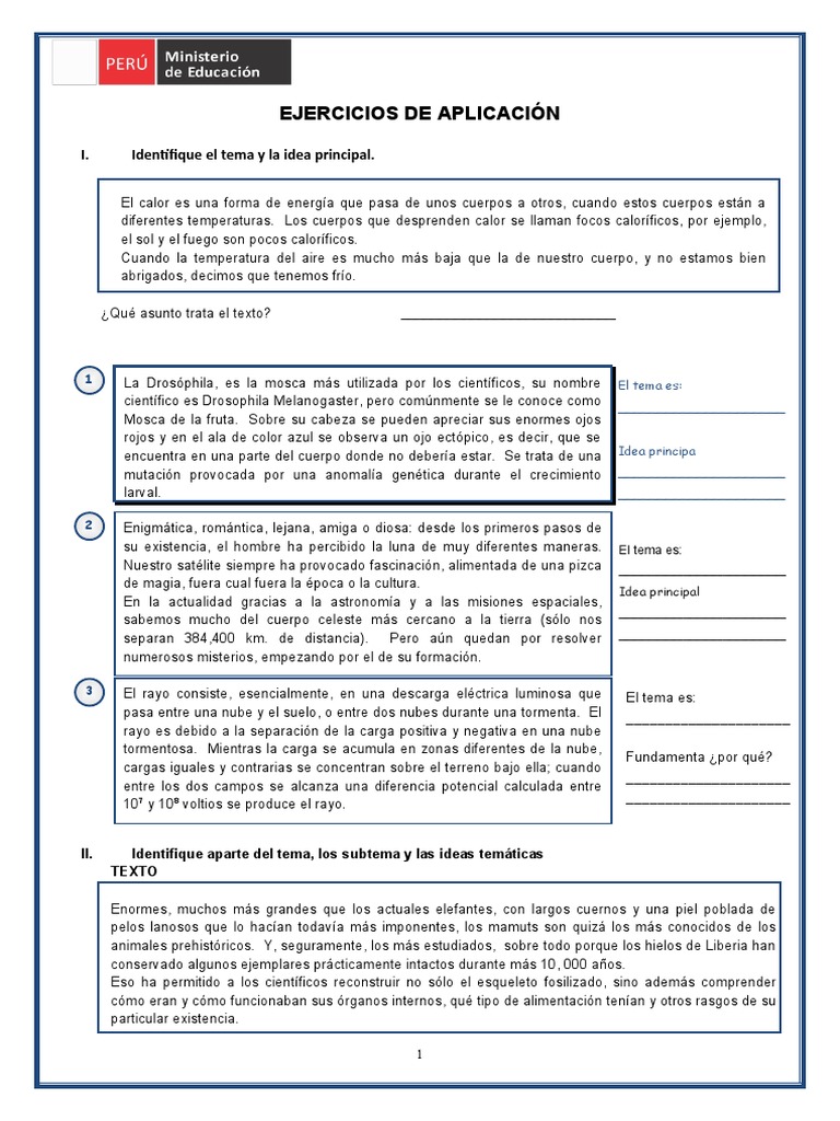 El Tema y La Idea Principal | PDF | Relámpago