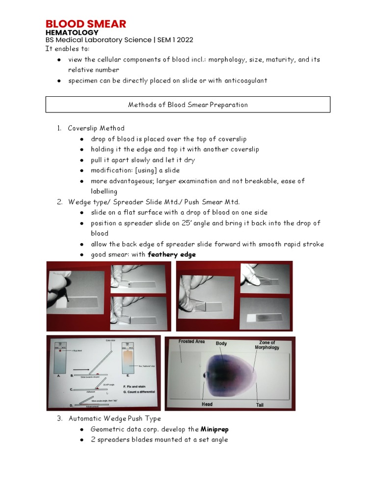 Blood Smear - Notes | PDF