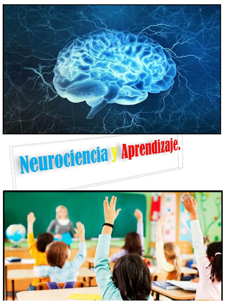 Neurociencia | PDF | Aprendizaje | Neurociencia