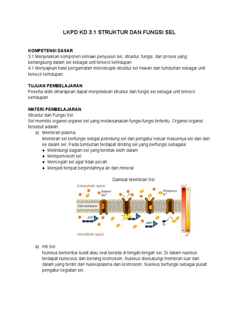 Template - LKPD STRUKTUR DAN FUNGSI SEL | PDF