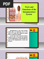 Integumentary System-GRADE 6 MARCOS | PDF | Skin | Integumentary System