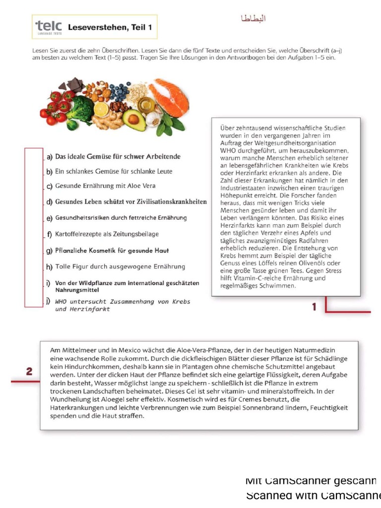 Leseverstehen Teil 1 (Verschoben) 22042022 | PDF