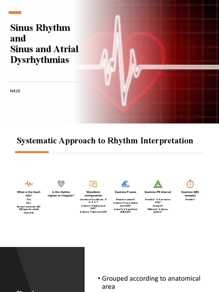 Sinus Rhythm and Sinus and Atrial Dysrhythmias | PDF | Atrium (Heart ...