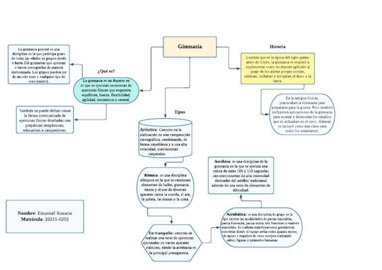 Introducción a la Gimnasia | PDF | Gimnasia | Deportes individuales