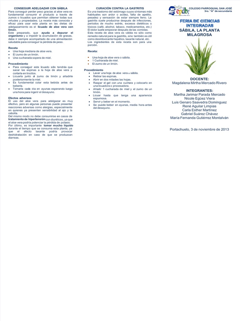 Dokumen - Tips - La Sabila Triptico | PDF | Miel | Limonada