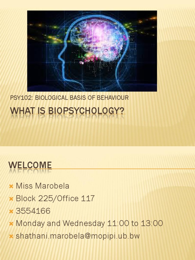 Understanding Biopsychology Basics | PDF