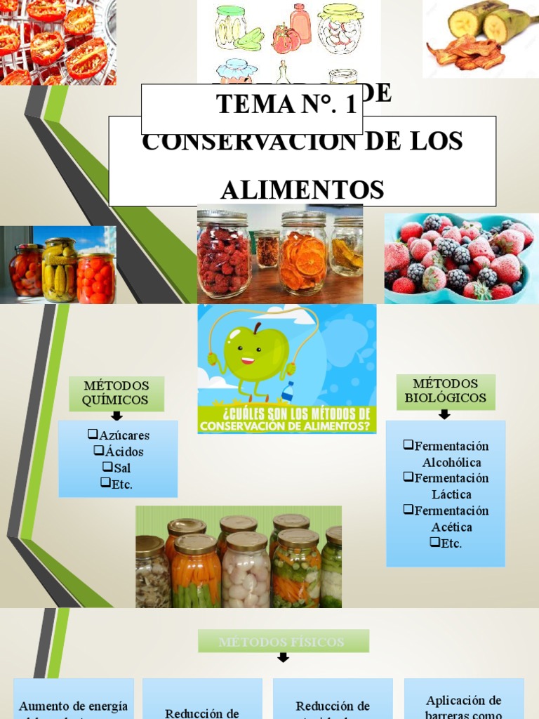 Tema 1. Métodos de Conservación | PDF | Alimentos | Fermentación
