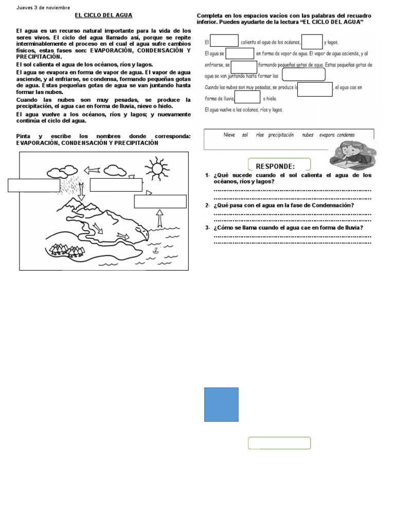 FICHA Ciencia 3 NOVIEMBRE Ciclo Del Agua | PDF