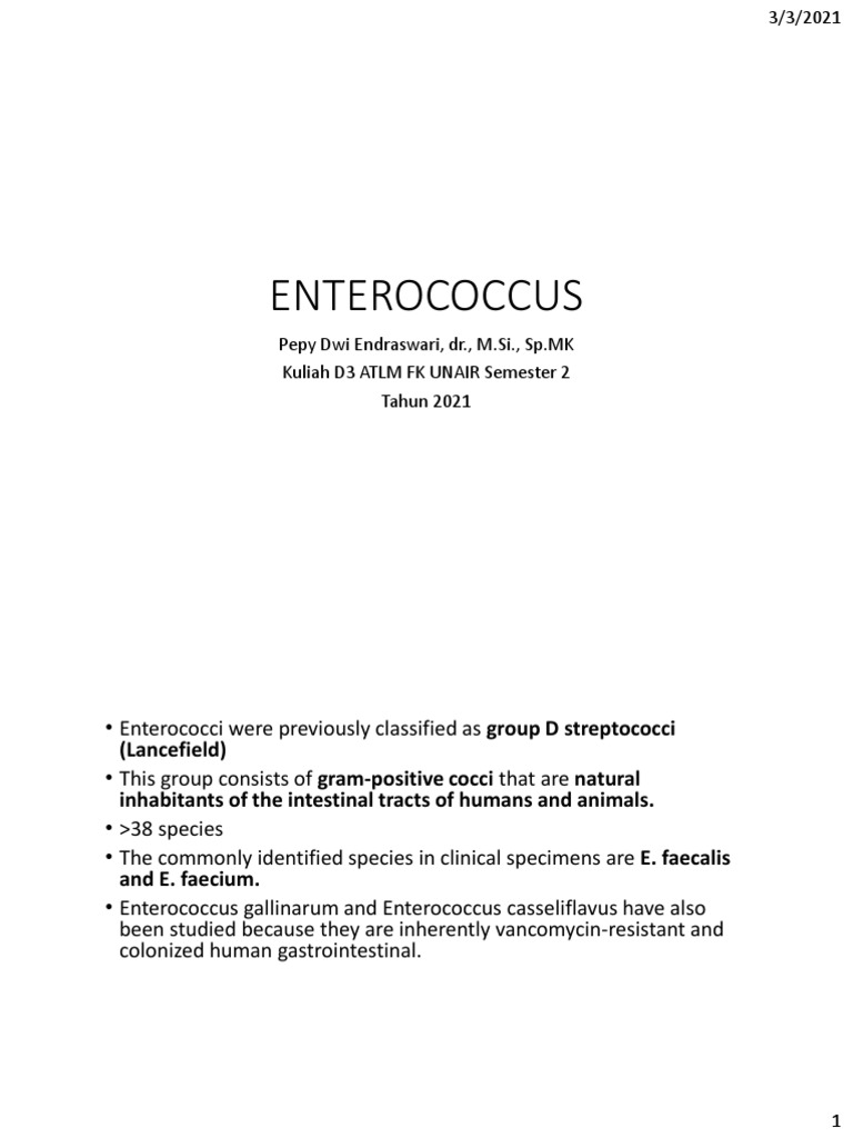 3 Enterococcus | PDF | Streptococcus | Microbiology