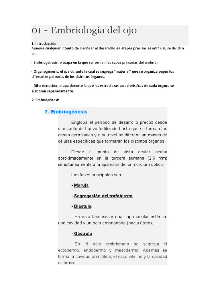 Embriología Del Ojo | PDF