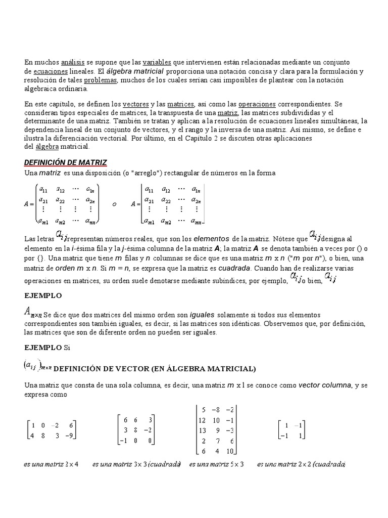 11d. ALGEBRA DE MATRICES 4 | PDF | Matriz (Matemáticas) | Determinante